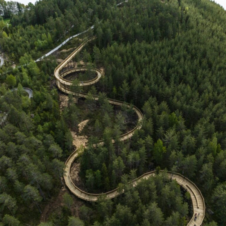 EFFEKT completes Norway’s first treetop walk - aasarchitecture